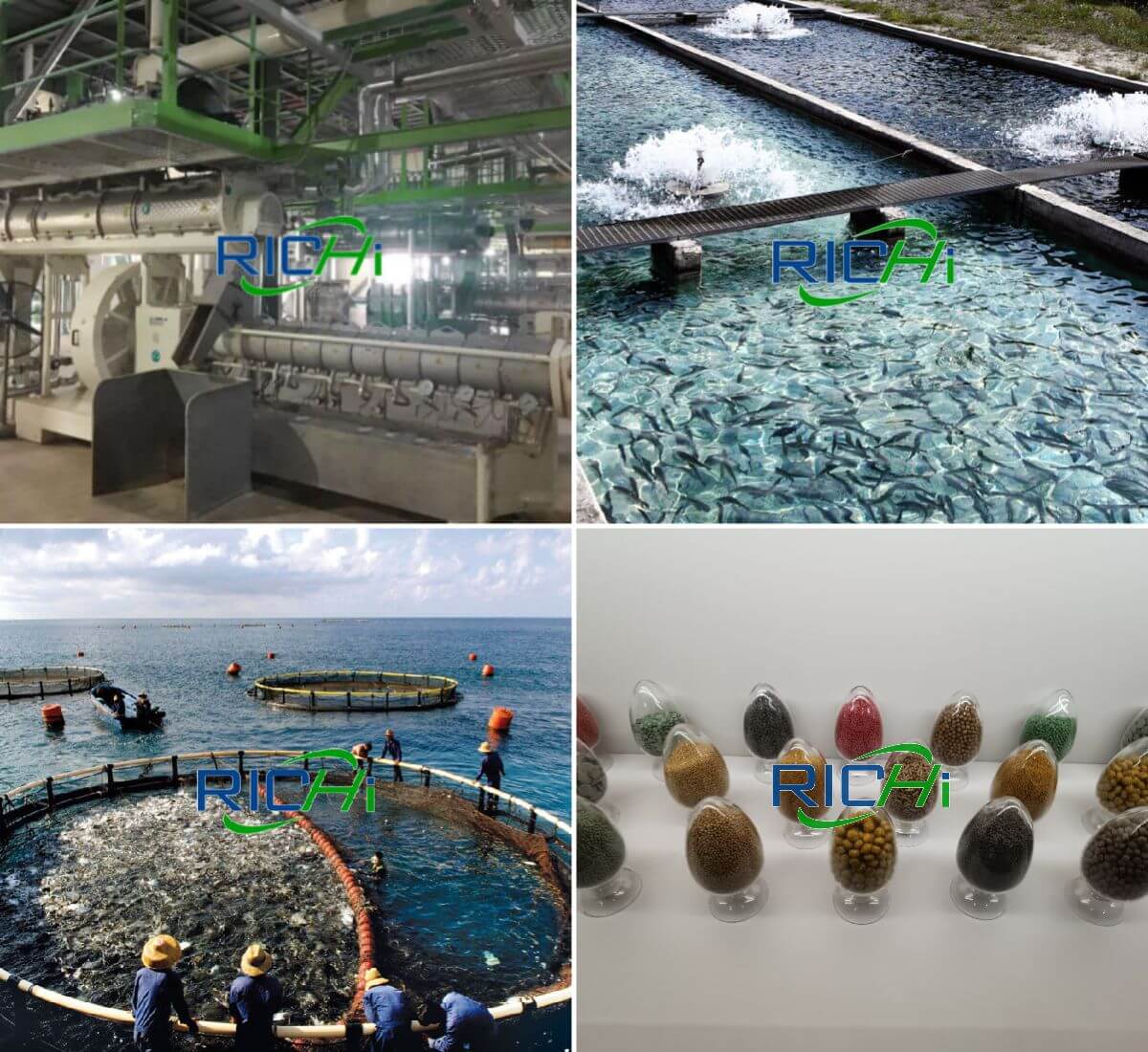 CE 1-12T/H Twin Screw Extruder For Sale For Aqua & Pet Food