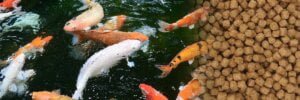 0.6-30T/H CE Approved Automatic Sinking Fish Feed Machine