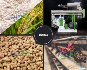 Productive And Durable 1-42T/H Chicken Feed Pellet Machine