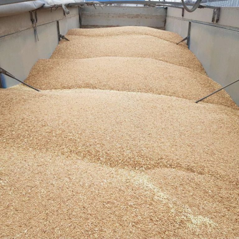 Hot Selling 0.3-40 Tons Per Hour Sawdust Pellet Machine For Sale