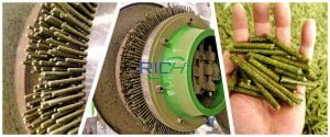 Factory Offered CE 0.3-5T/H Hops Pelletizer Machine For Sale
