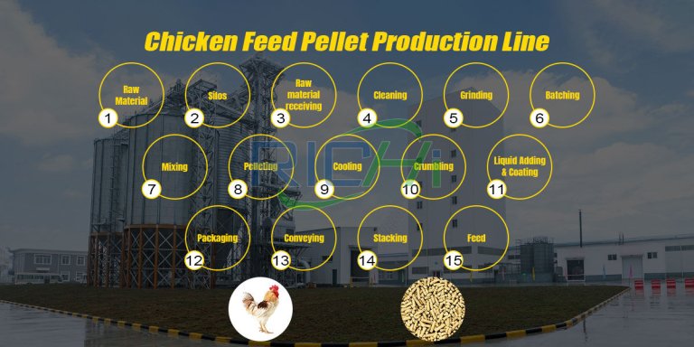 1-160T/H Complete Poultry Feed Plant For Sale - Richi Machinery