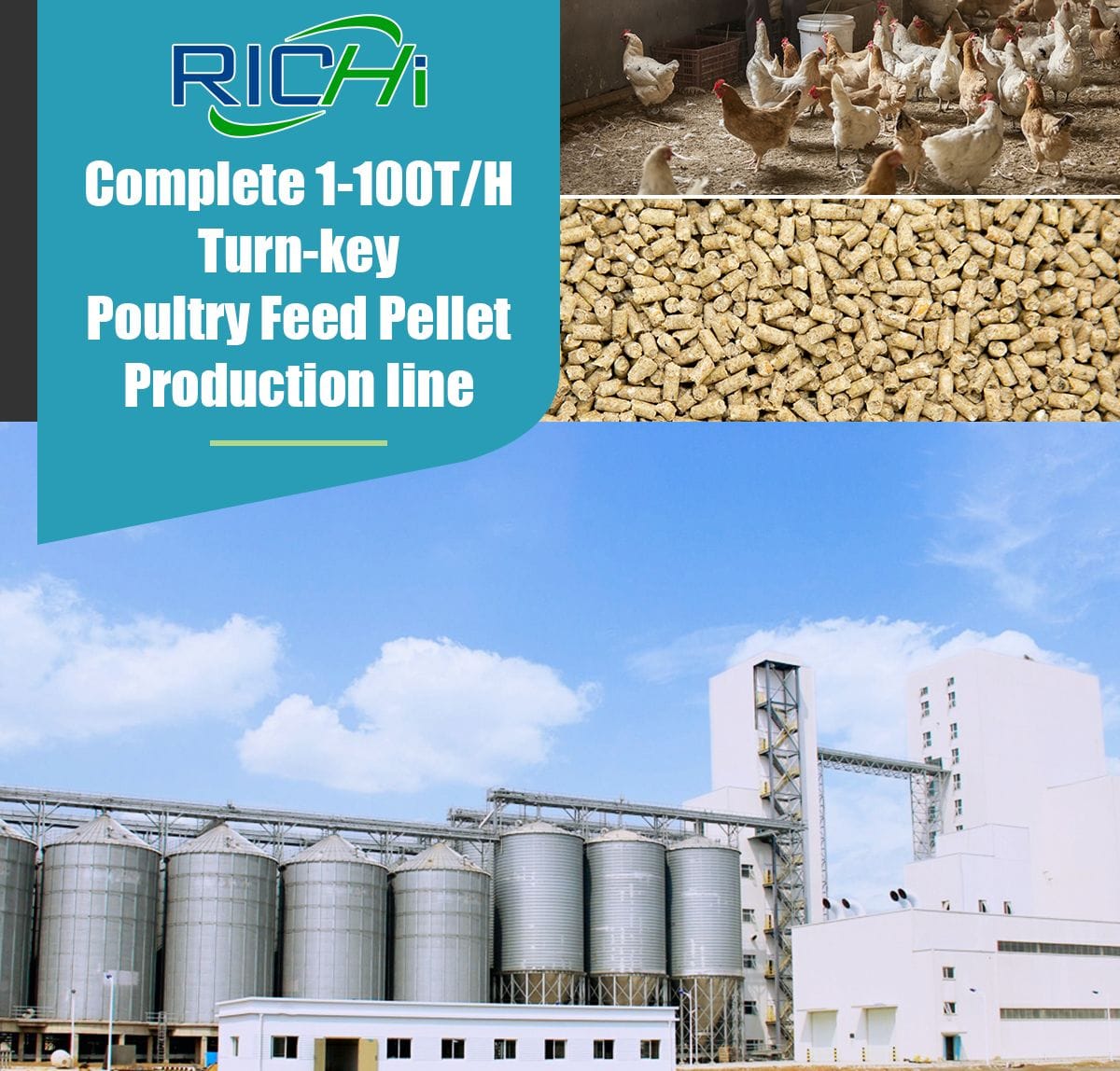 1-160T/H Complete Poultry Feed Plant For Sale - Richi Machinery