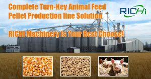 Automatic Turnkey 1-160T/H Pig Feed Mill Plant Solution