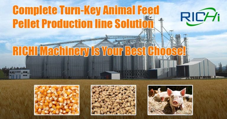 Automatic Turnkey 1-160T/H Pig Feed Mill Plant Solution