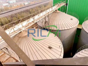 Steel Storage Silos For Feed Mill Plants - Richi Machinery