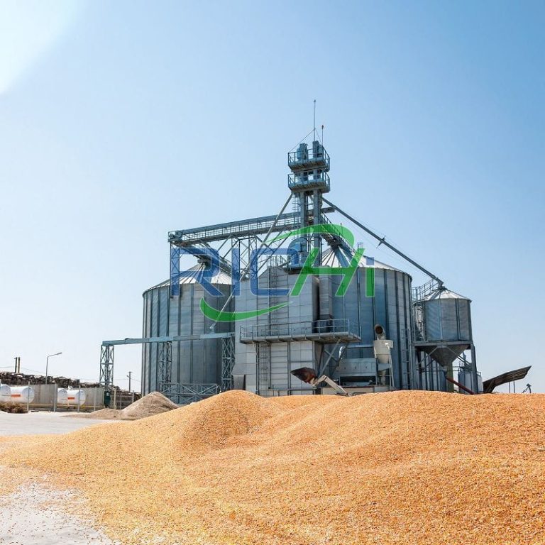 Steel Storage Silos For Feed Mill Plants - Richi Machinery