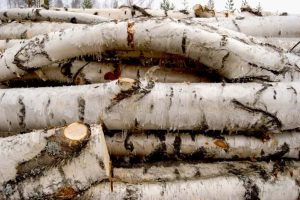 Europe Standard 0.3-10T/H Hardwood Pellet Mill - RICHI Machinery