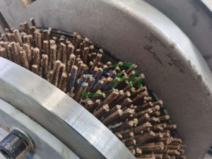 0.3-5T/H Leaf Pellet Mill - Making Pellets From Leaves Waste