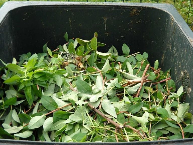 0.3-5T/H Leaf Pellet Mill - Making Pellets From Leaves Waste