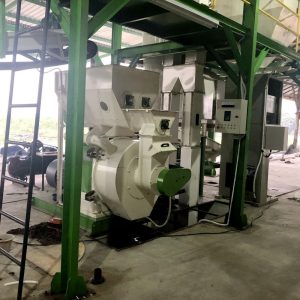 1-100T/H Best Solution Pelletizing Plant Projects