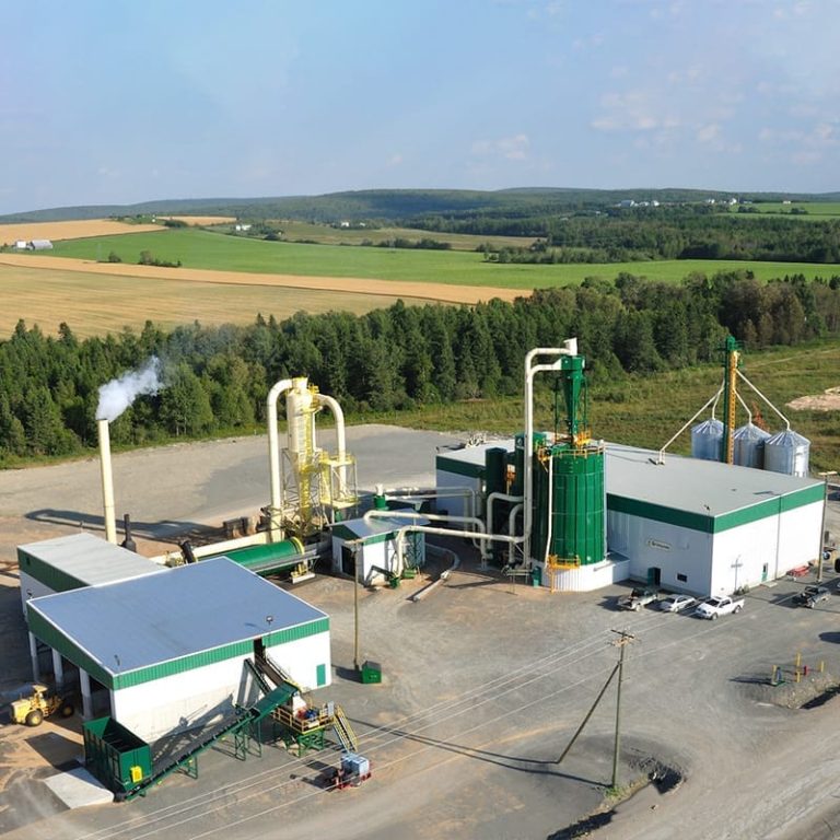 1-90 T/H Different Biomass Pellet Project Cost - Richi Machinery