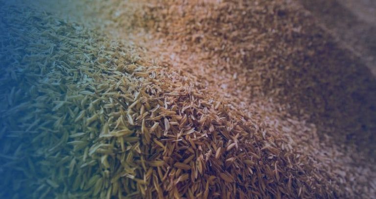 Factory Directly Offered Biomass Pellet Production Line