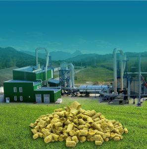 1-100T/H Best Solution Pelletizing Plant Projects