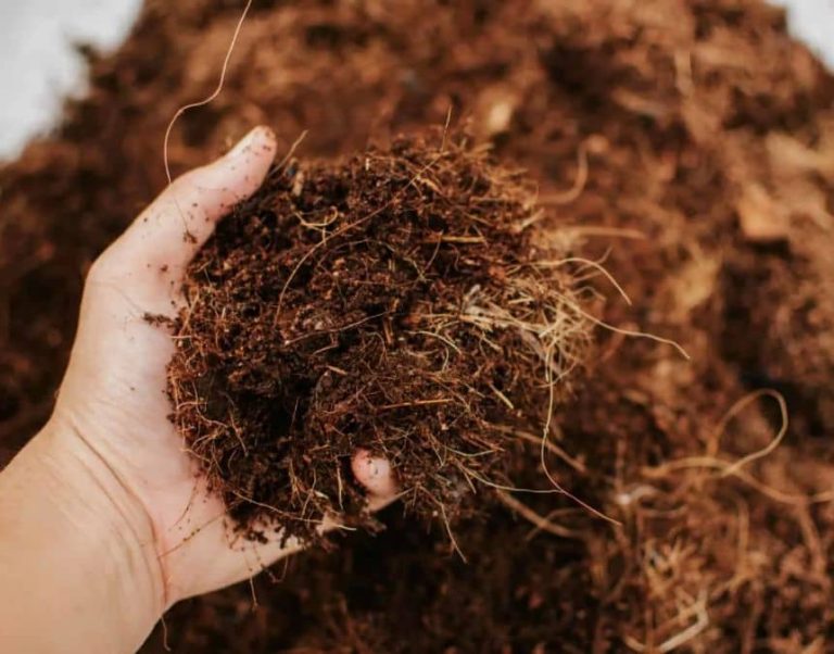 0.3-90T/H Biomass Pellet Plant With Customized Design