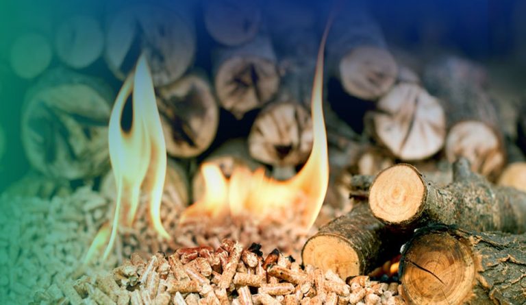 1-100T/H Turn-key Pellet Plant For Feed & Wood Biomass Pellets