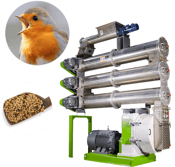 1-60T/H Bird Food Factory For Commercial & Farm Use - RICHI