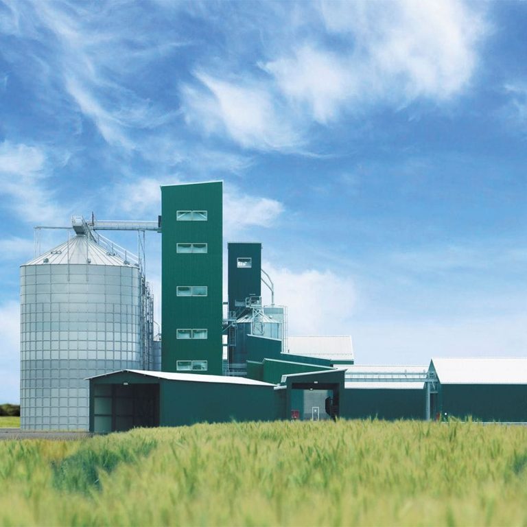 1-60 T/H Pet Feed Mill Project Construction & Equipment Price