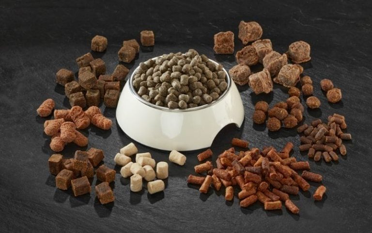 1-60 T/H Pet Feed Mill Project Construction & Equipment Price