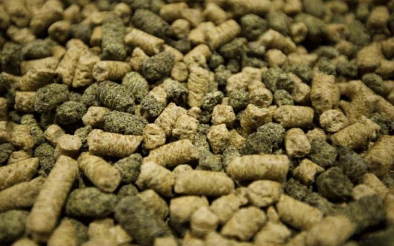 CE Verified 0.6-20T/H Dry Wet Grass Pellet Machine For Sale