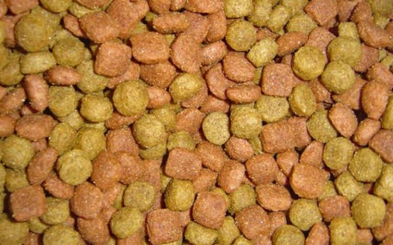 1-60 T/H Pet Feed Mill Project Construction & Equipment Price