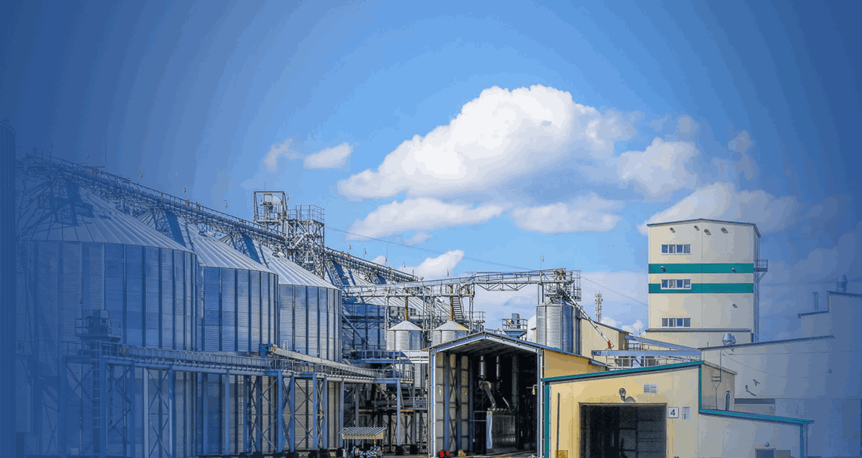 1-100T/H Animal Feed Factory Project - Poultry/Livestock/Aqua/Pet