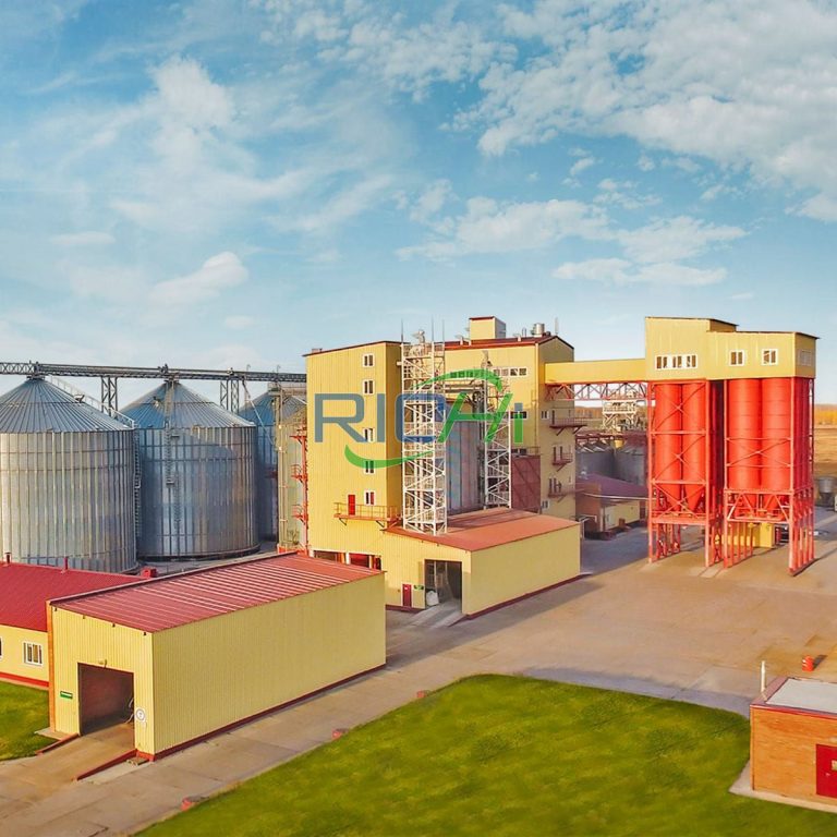 1-60T/H Pet Food Production Line Price - RICHI Machinery