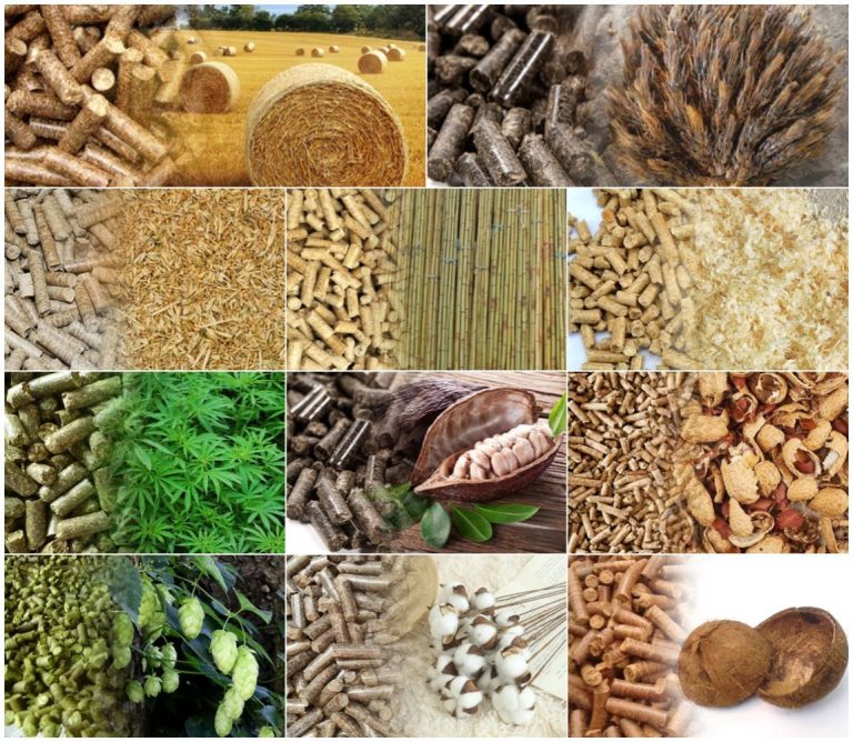 1-90 T/H Different Biomass Pellet Project Cost - Richi Machinery