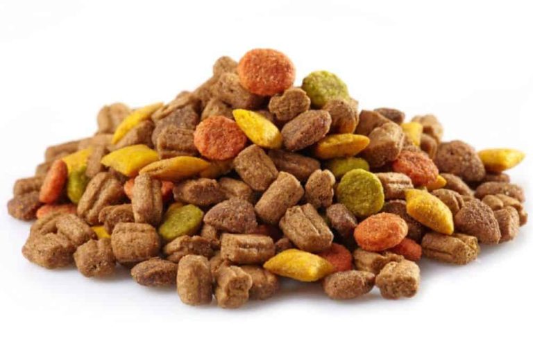 1-60T/H Pet Food Production Line Price - RICHI Machinery