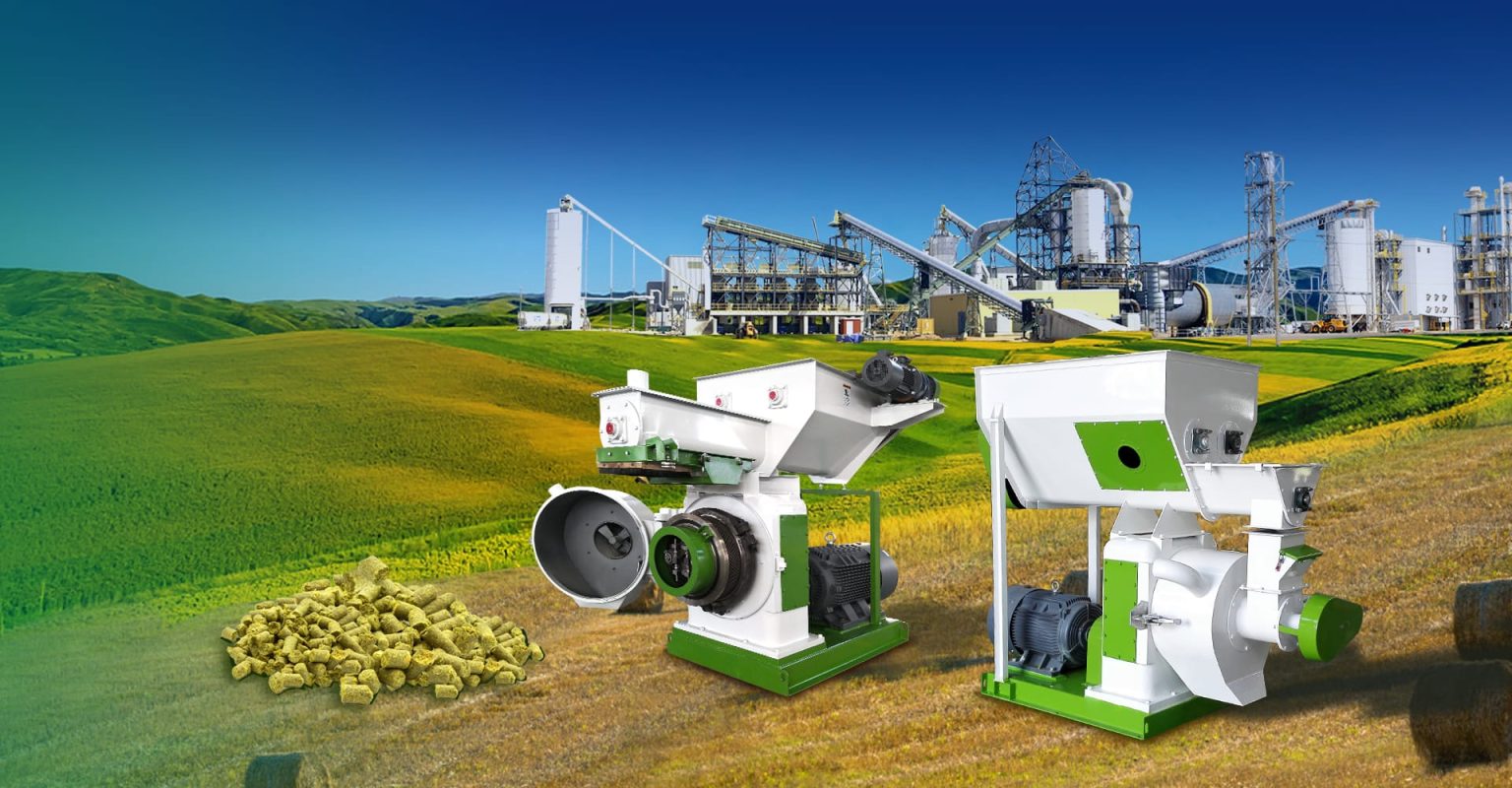 0.3-4T/H Small Biomass Pellet Machine With CE - RICHI Machinery