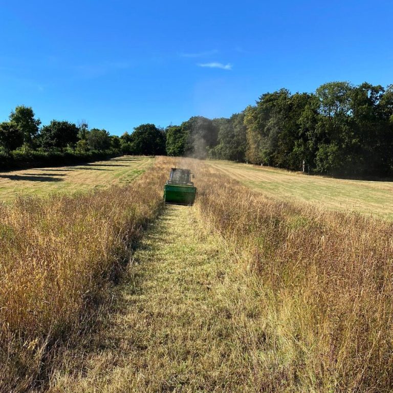 CE Verified 0.6-20T/H Dry Wet Grass Pellet Machine For Sale