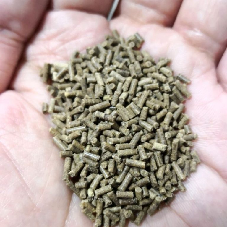 Shrimp Feed Pellet Machine - Pellet Machine/Pellet Mill/Feed Extruder