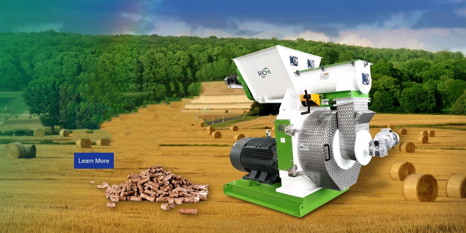 2-15T/H Biomass Fuel Pellet Machine With CE- RICHI Machinery