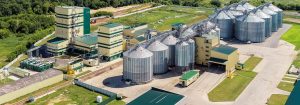 80-100T/H Large Feed Mill Factory Investment & Construction