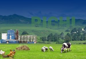 8-10 T/H Animal Feed Processing Plant Design & Construction