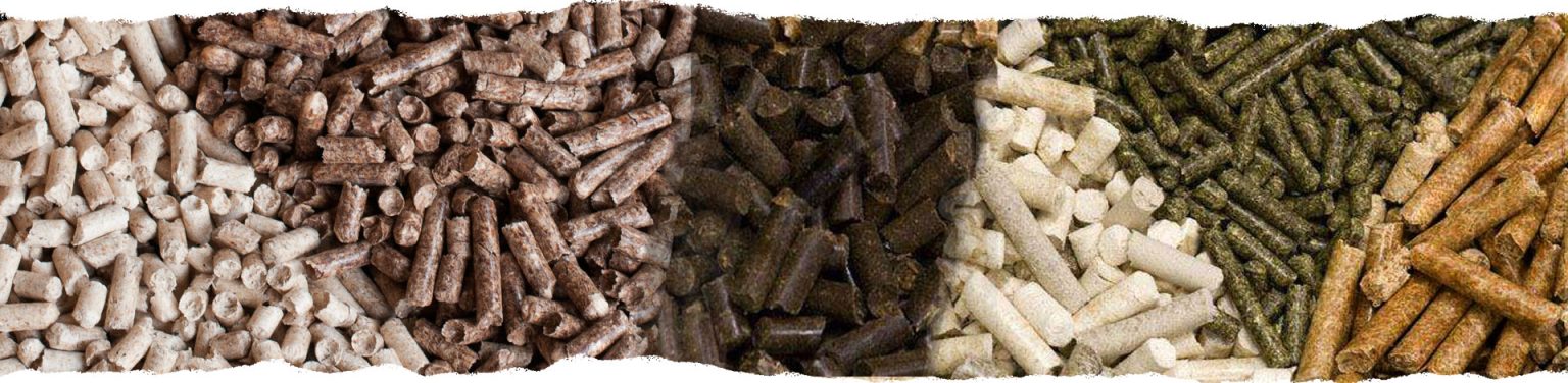 8-10 T/H Animal Feed Processing Plant Design & Construction