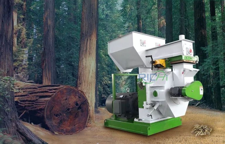 0.3-20T/H CE ISO Wood Pellet Machine For Sale - RICHI Machinery