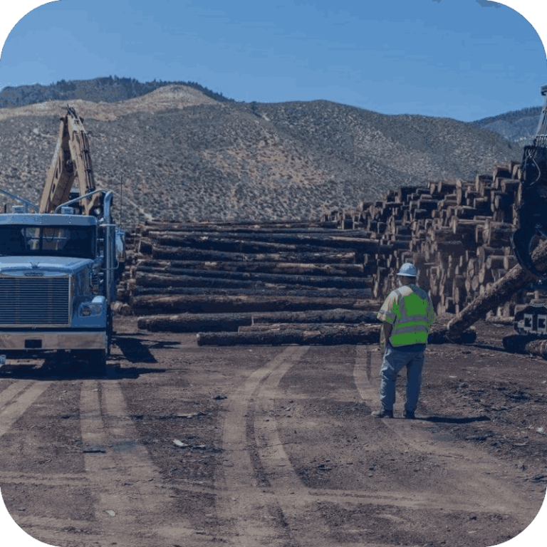 Customized 0.3-90T/H CE Wood Pellet Production Line Solution