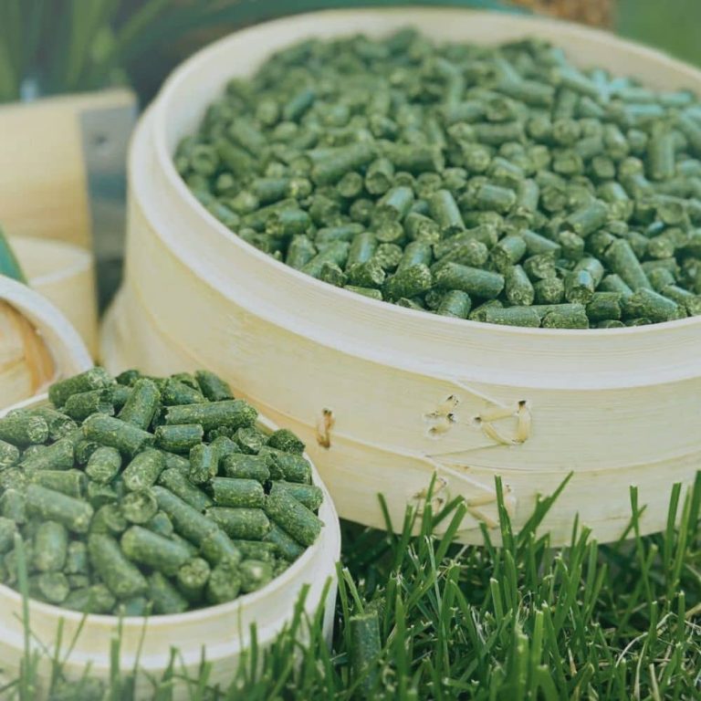 Alfalfa Pellet Production Line Solution - RICHI Machinery