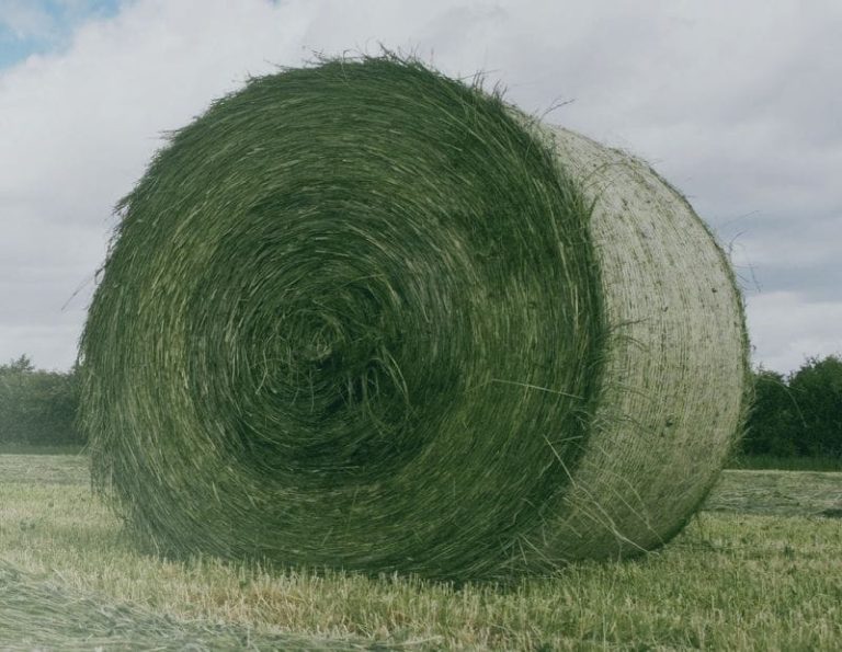 0.3-30T/H Lucerne Alfalfa Pellet Machine For Sale - Pellet Machine ...