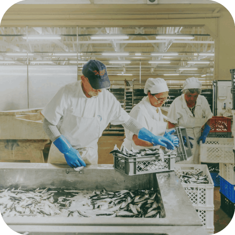 1-2T/H Fish Feed Processing Line Equipment & Cost