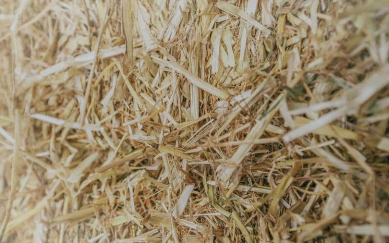 Complete 0.2-90T/H Straw Pellet Plant For Fuel & Feed Pellets