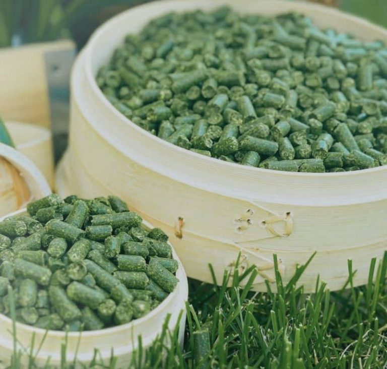 CE Verified 0.3-30T/H Dry Wet Grass Pellet Machine For Sale