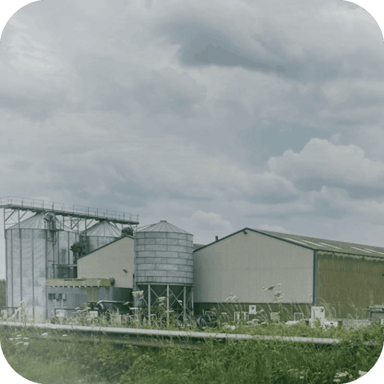 Complete 0.2-90T/H Straw Pellet Plant For Fuel & Feed Pellets