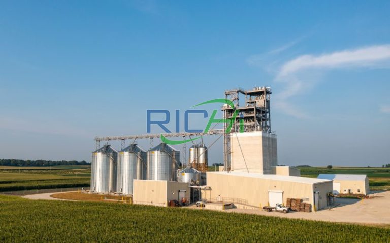 Ffatri Bwyd Cŵn 4T/H yn Sbaen - Peiriant Pelenni/Melin Belenni ...