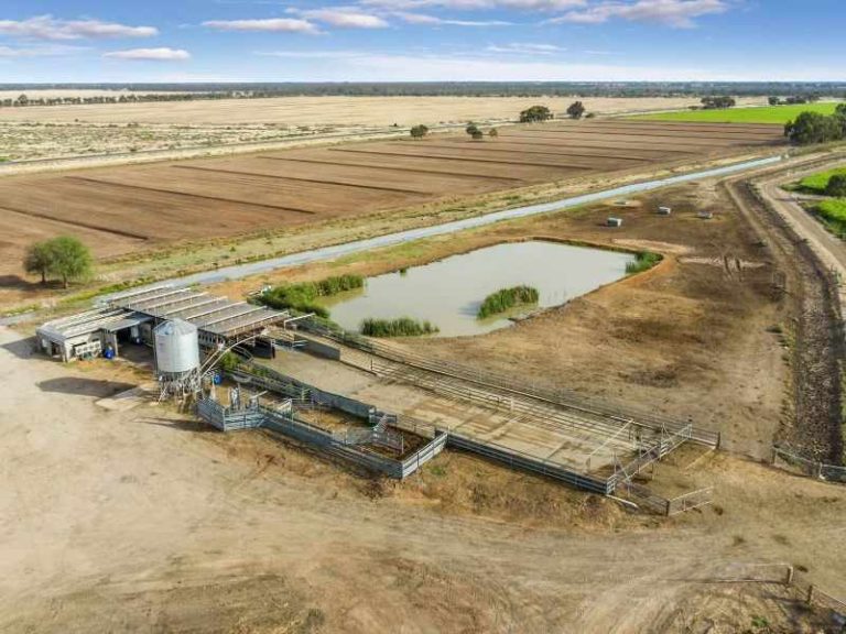 1-100T/H Cattle Feed Plant Project - For Ruminant Cow Goat Feed