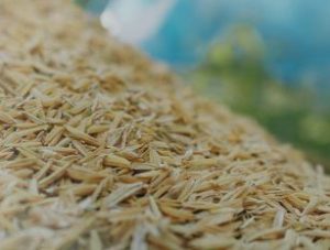 1-20T/H Stable Performance Fertilizer Granulation Equipment