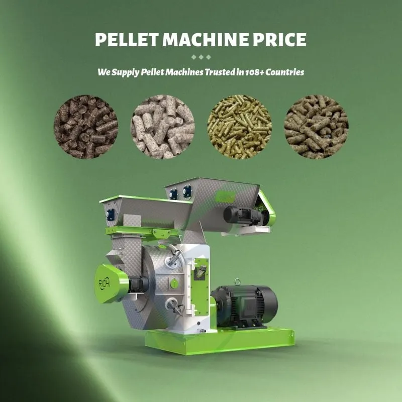0.2-0.6T/H Small Biomass Pellet Machine Cost - RICHI Machinery